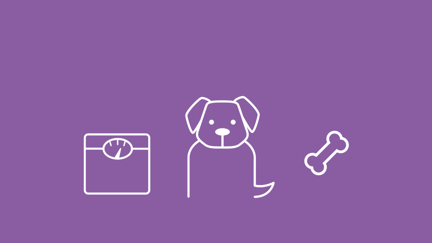 Der Hund muss abnehmen: Alle Tipps für eine Diät ohne Hunger | Helvetia