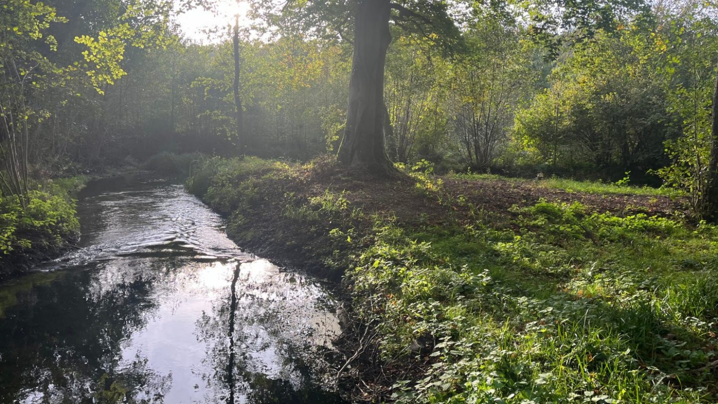 Assurances Helvetia | Helvetia